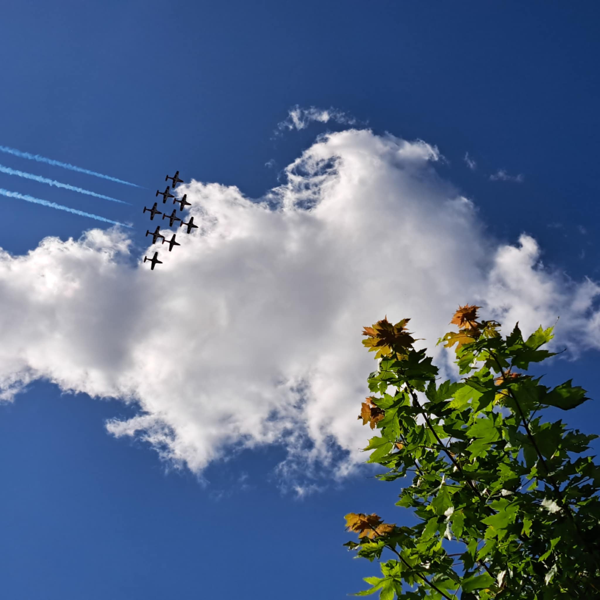 Canada Day 2024 - Deosil